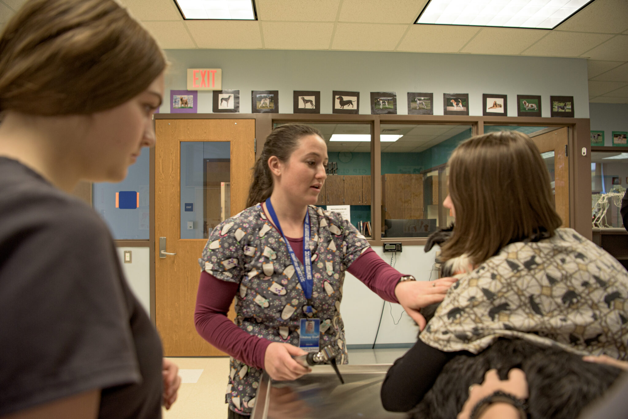 Veterinary Sciences | Crawford Tech